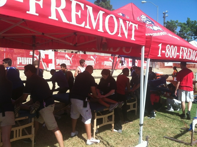 The Fremont Experience | Fremont