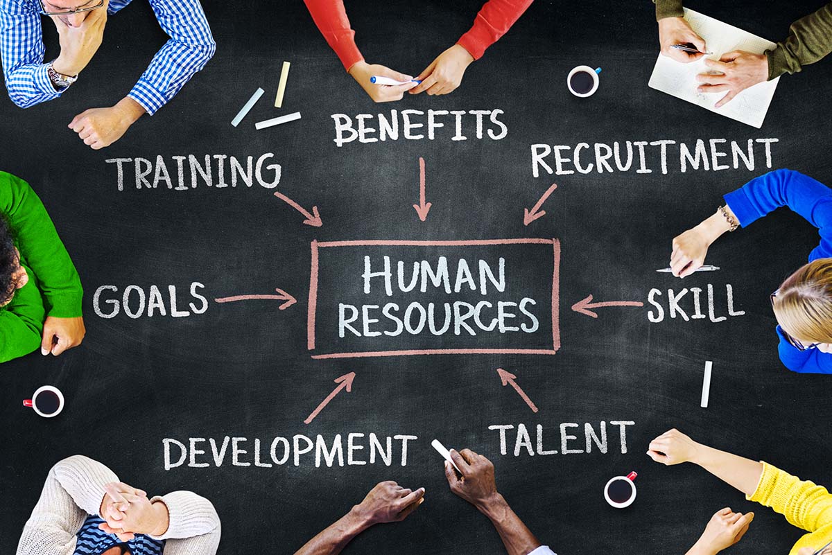 Human Resources Associate Job Description What Does HR Do 